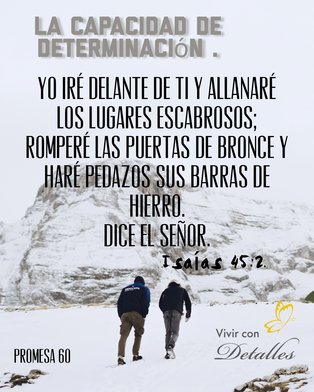 La capacidad de determinación – Vivir con detalles